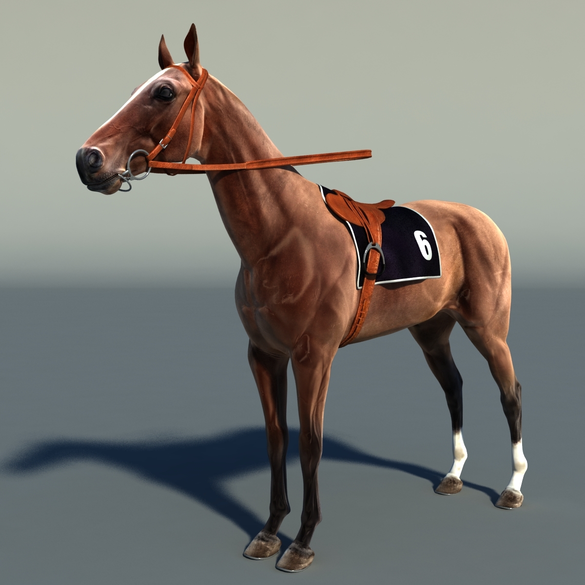 3d thoroughbred horse rig