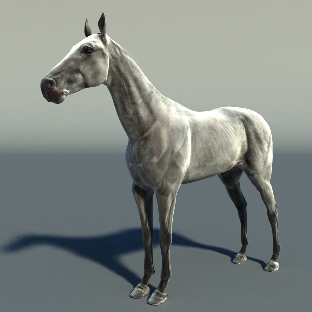 3d thoroughbred horse rig