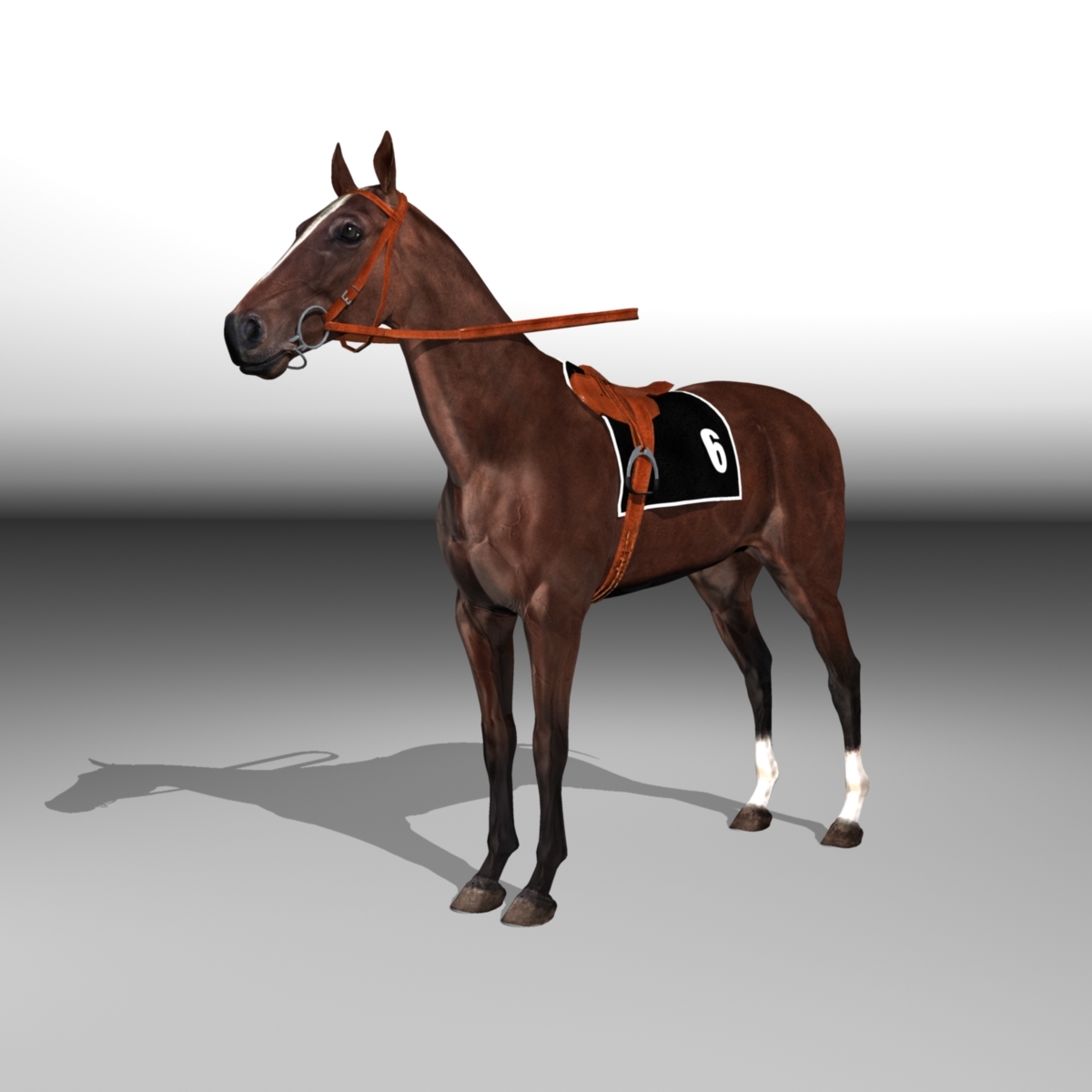 3d thoroughbred horse rig