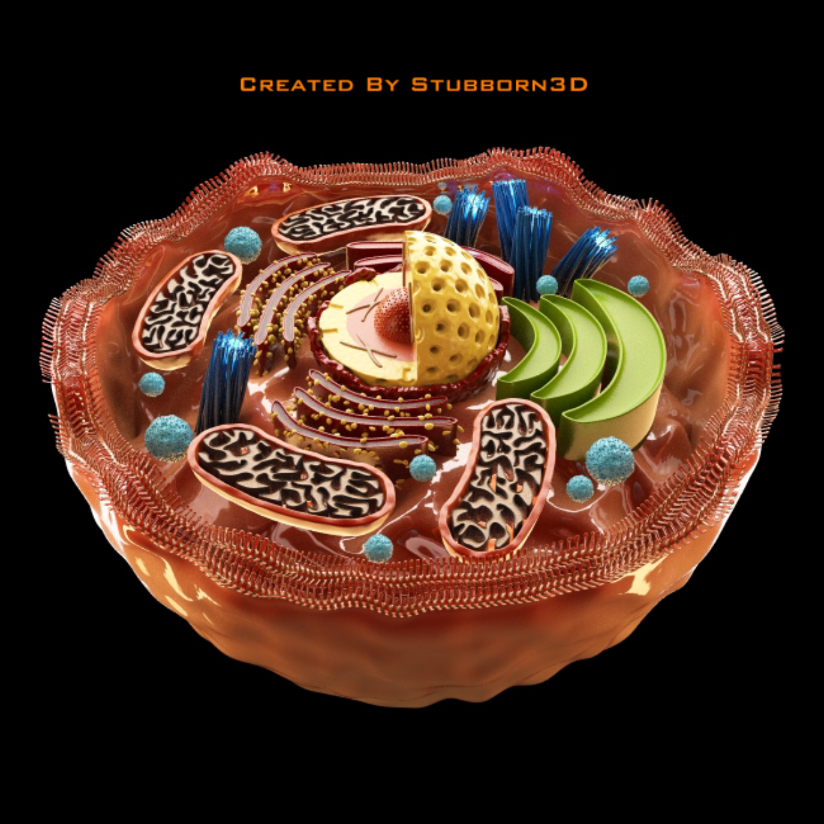 3d human cell