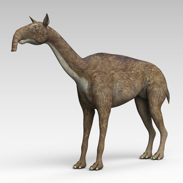 3d macrauchenia model