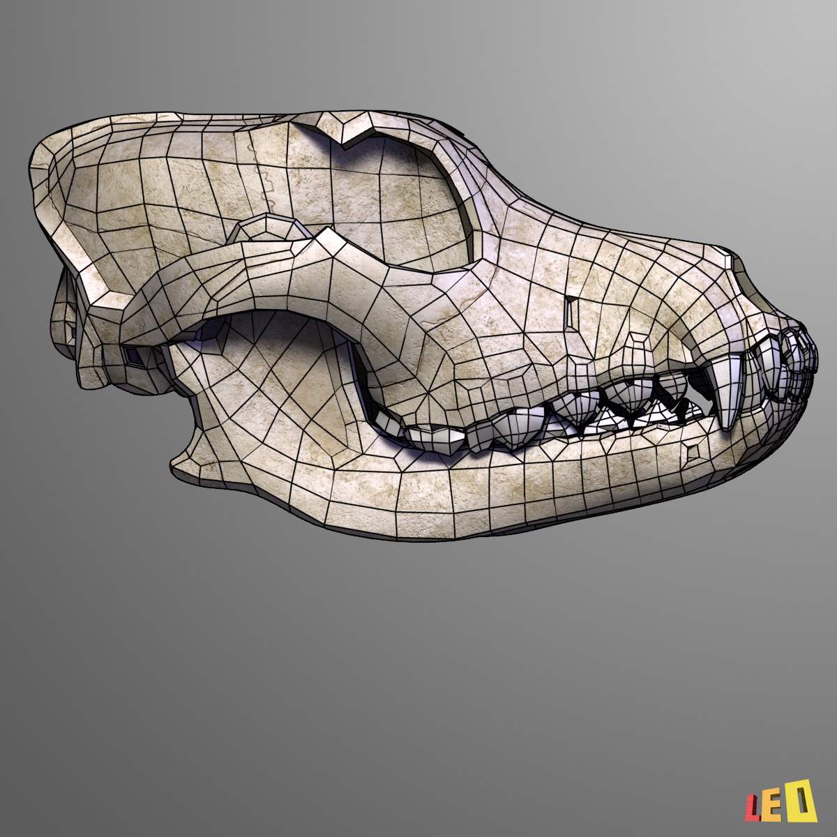 realistic dog skull 3d model