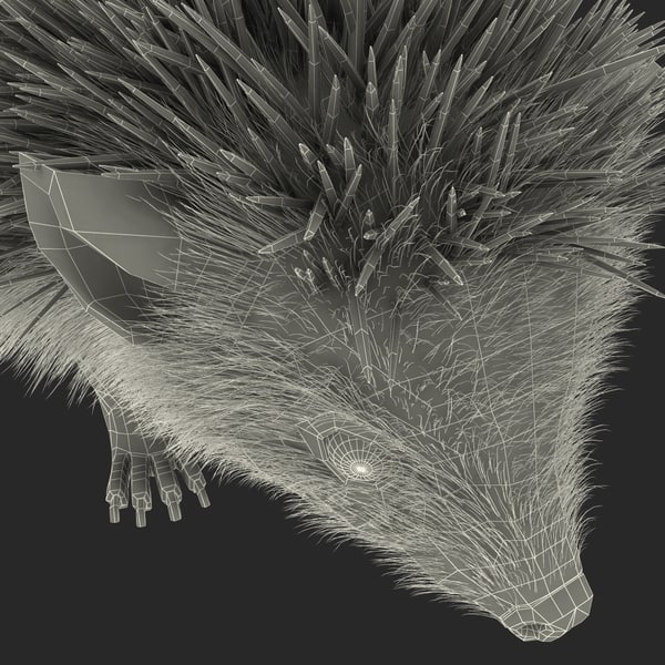 hedgehog modelled 3d model