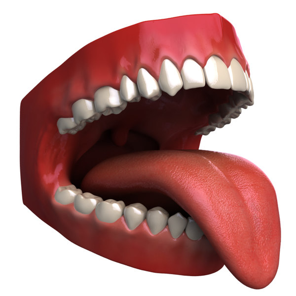 mouth teeth tongue animation 3d max
