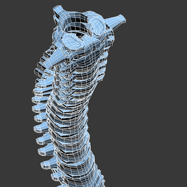 human spine 3d 3ds