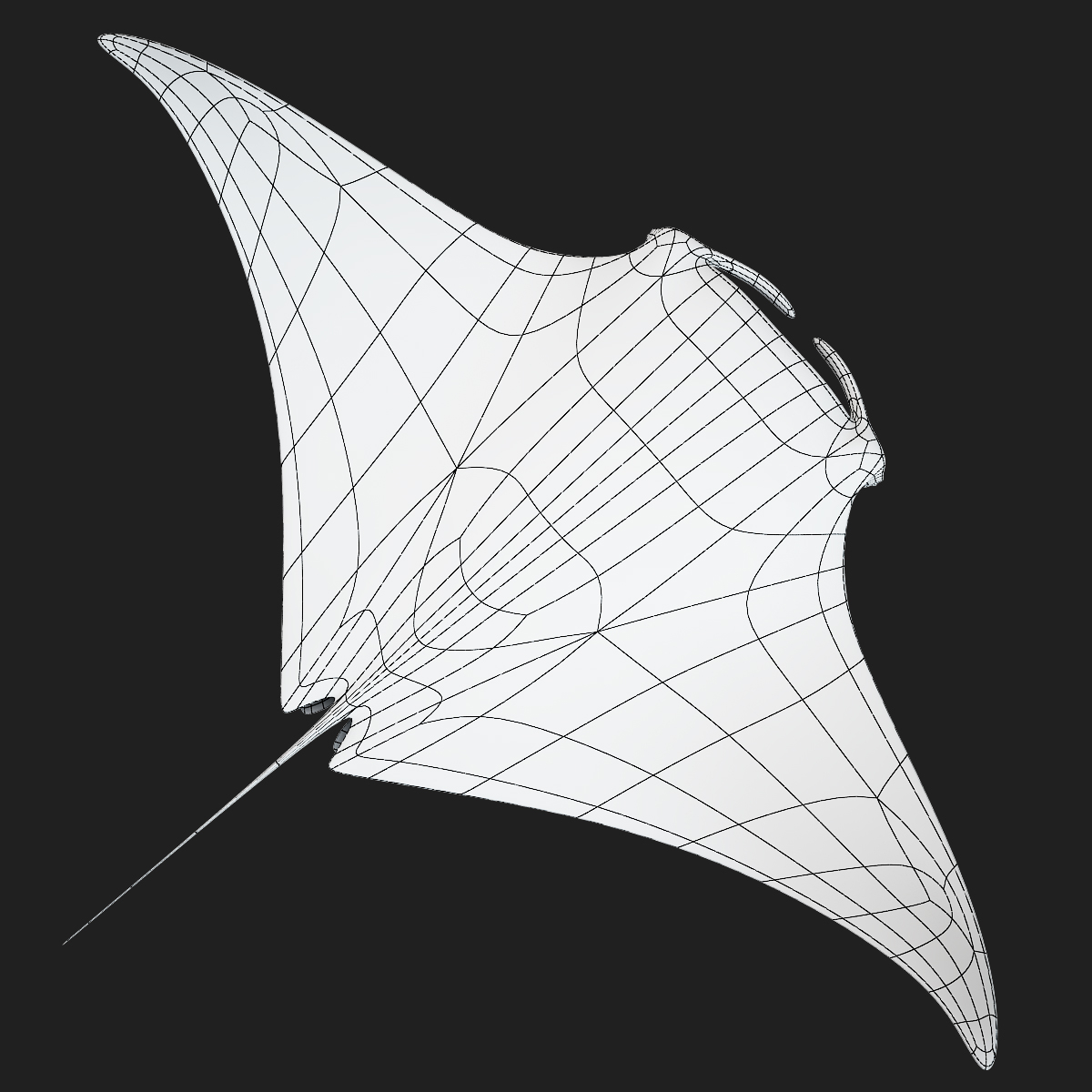 modèle 3D de Raie manta - TurboSquid 674262