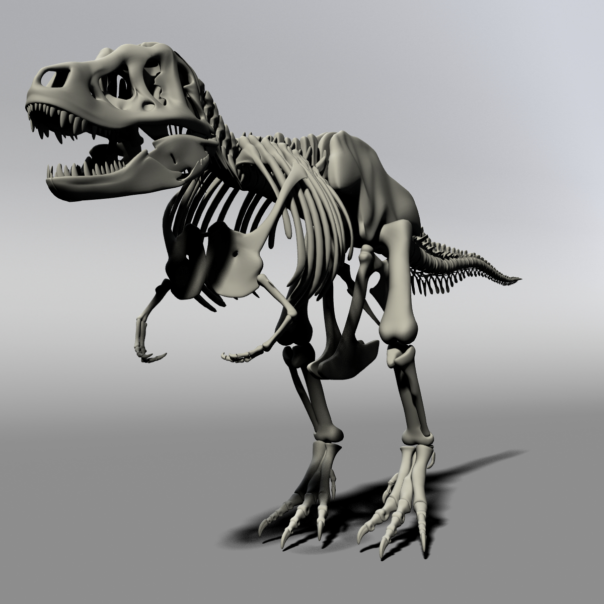 rex skeleton 3d obj