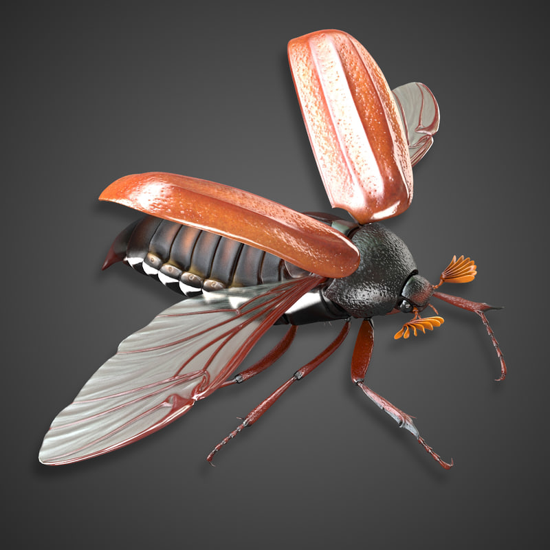 bug wings modeled max