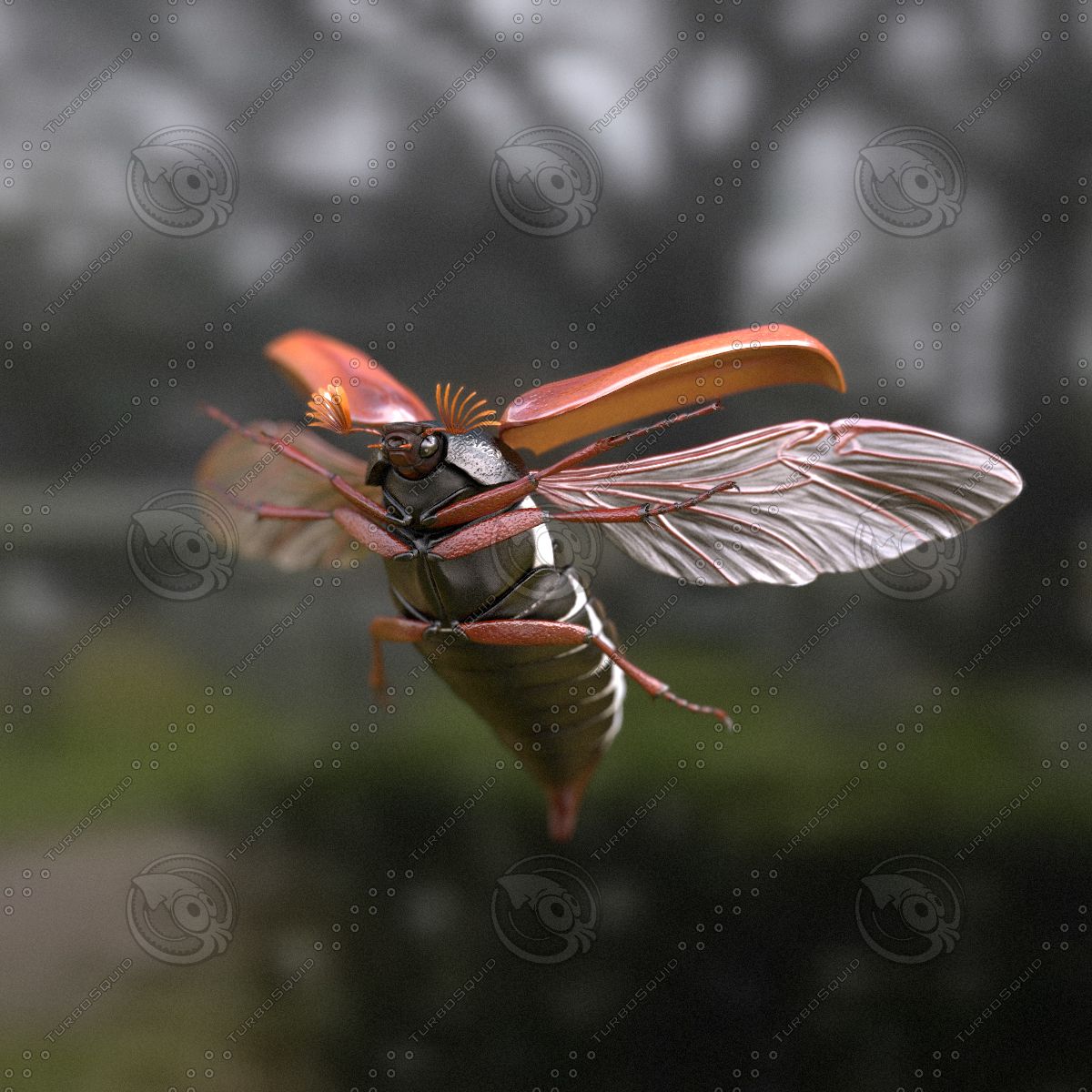 bug wings modeled max