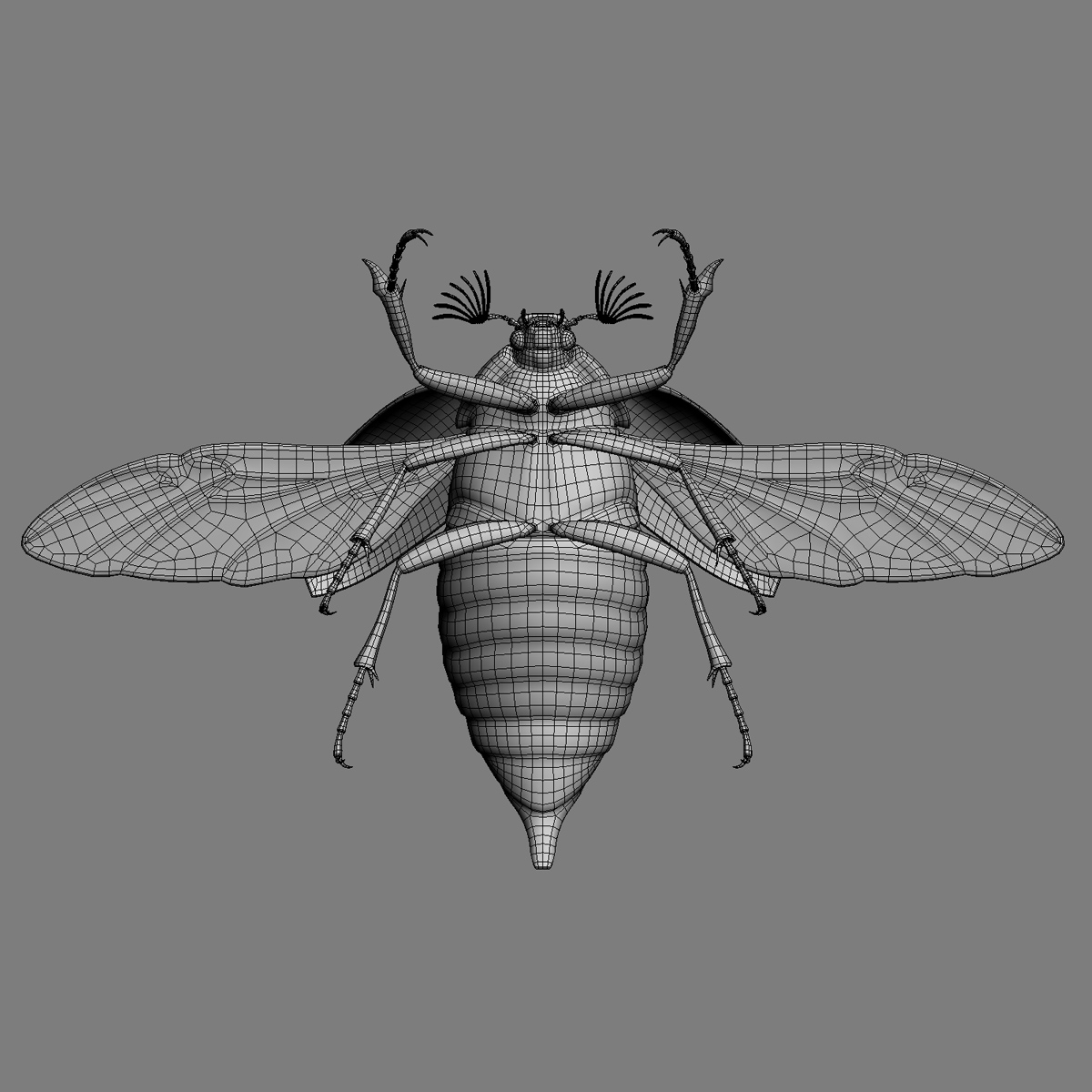 bug wings modeled max