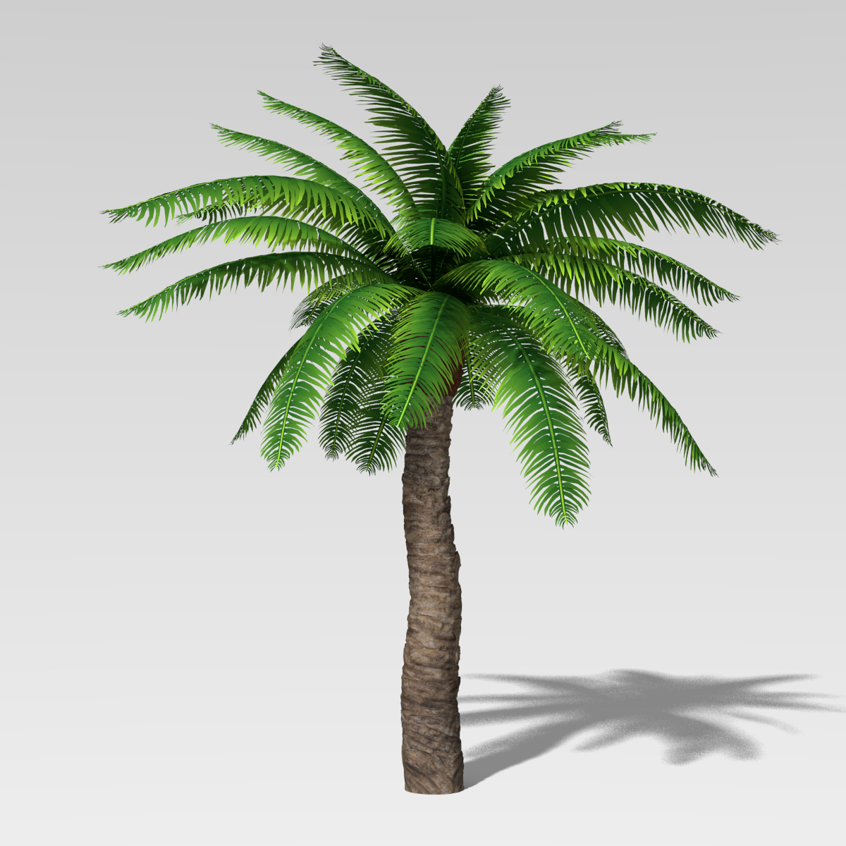 3d palm tree