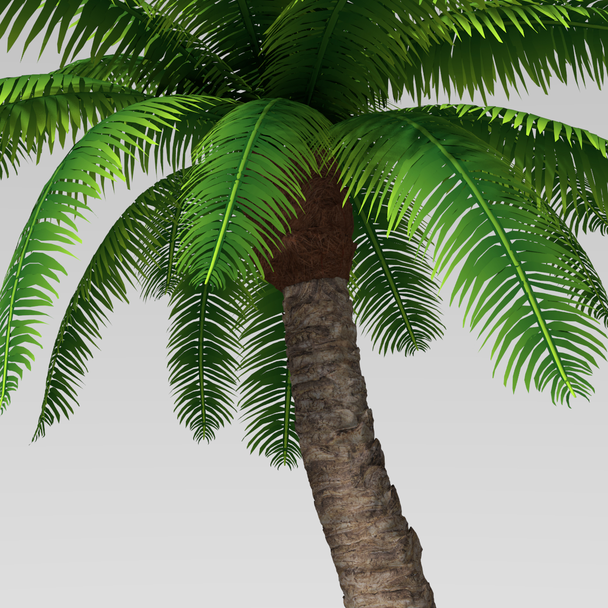 3d palm tree