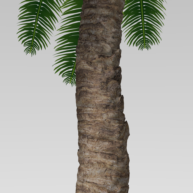 3d palm tree