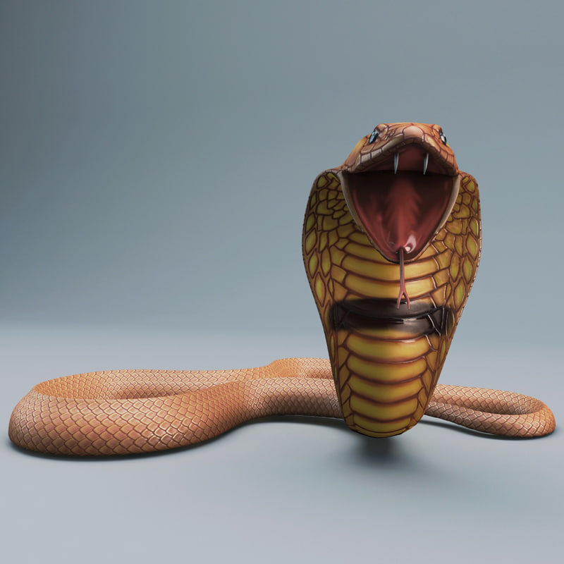 3d model snake cobra pose 4