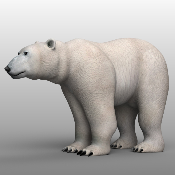 3d-polar-bear-model