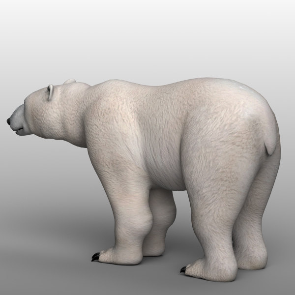 3d-polar-bear-model