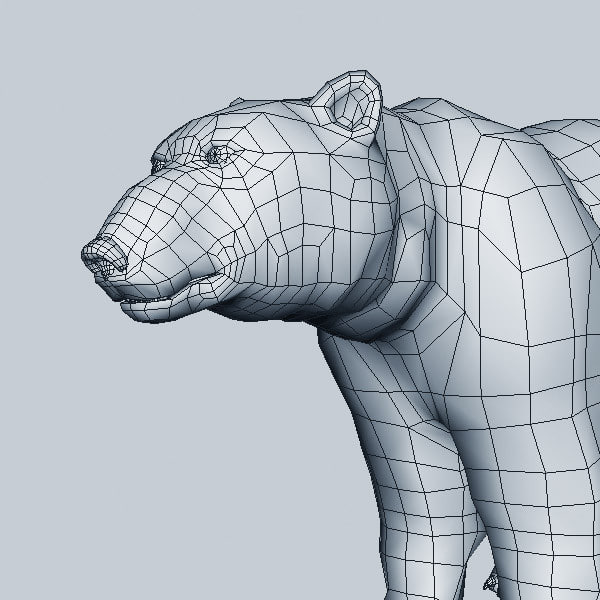 3d Polar Bear Model