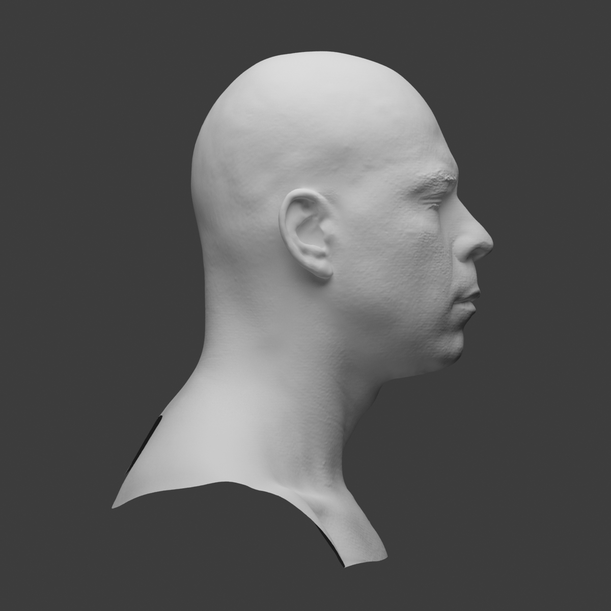 3d model scan head