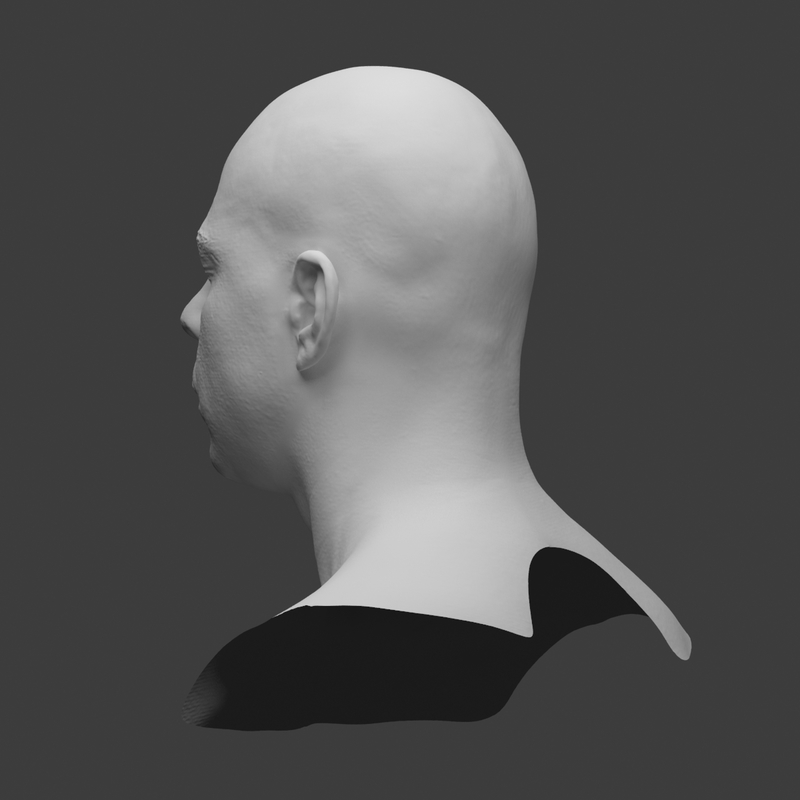 3d model scan head