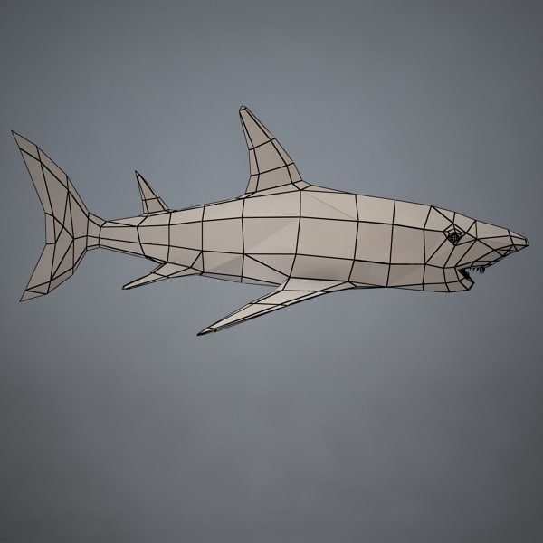 3d shark games normal model