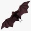 flying fox 3d model