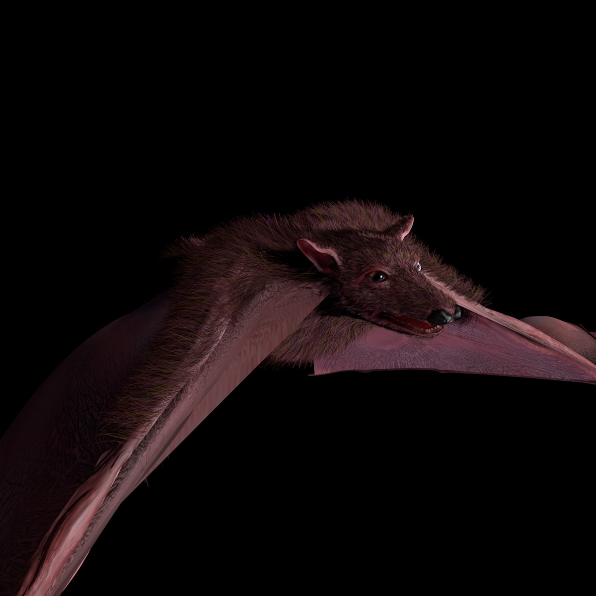 flying fox 3d model