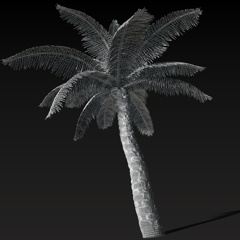 3d model palm tree