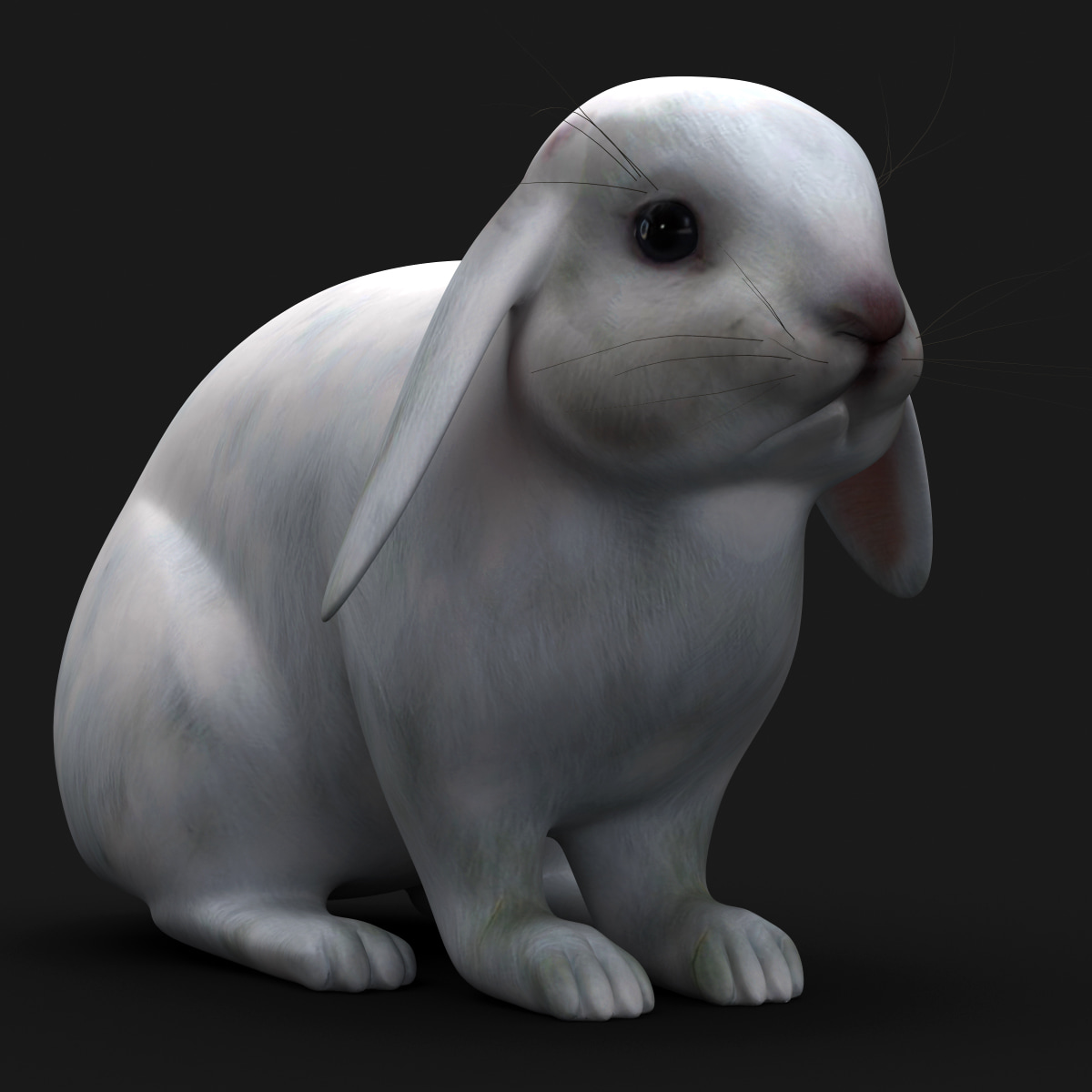 white rabbit 3d 3ds