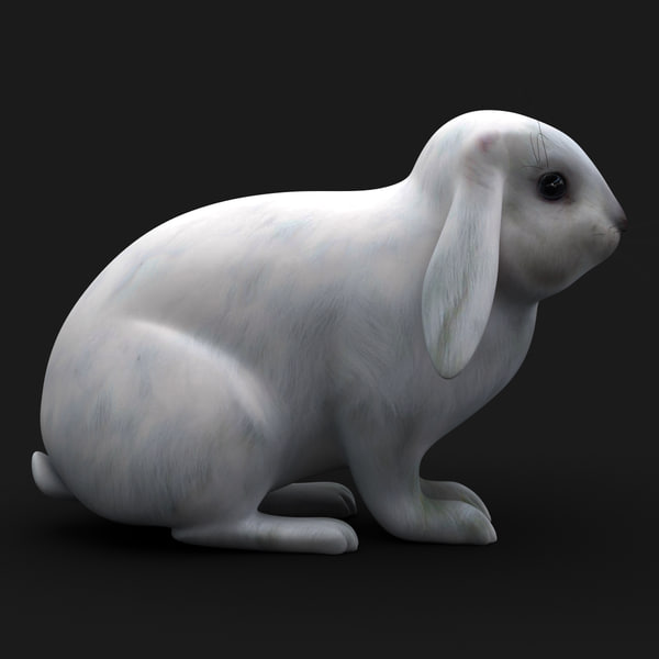 white rabbit 3d 3ds