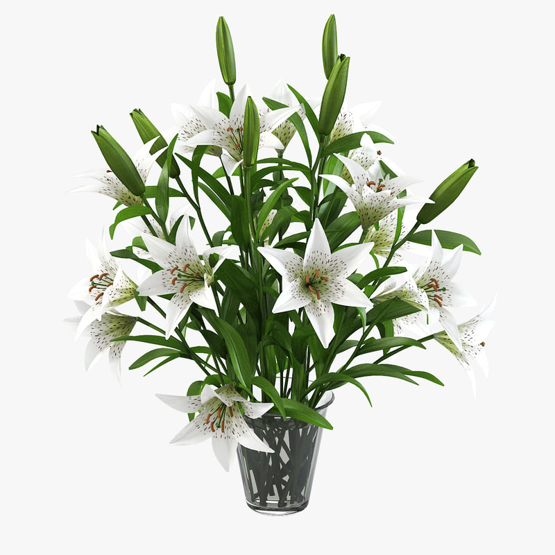 lily flower bouquet 3d model