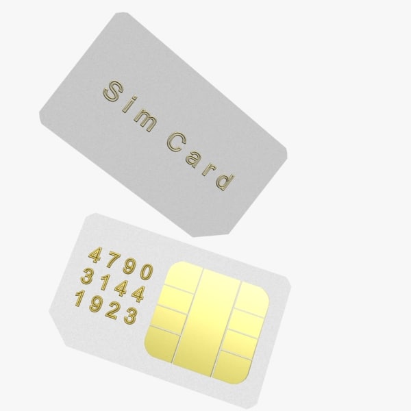 3ds max sim card