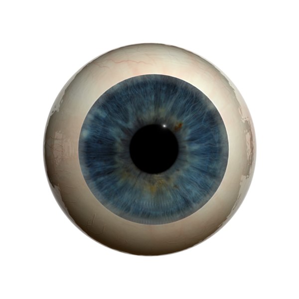 Augapfel 3D-Modell - TurboSquid 687435