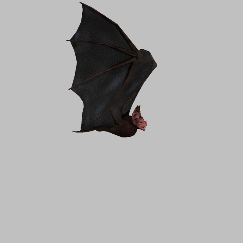 3d vampire bat fly animation