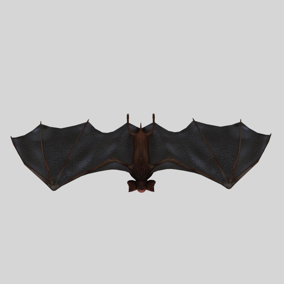 3d vampire bat fly animation