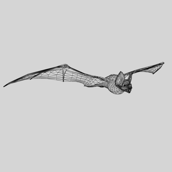 3d vampire bat fly animation