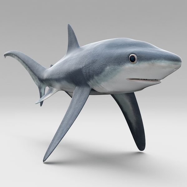 3ds max fox shark