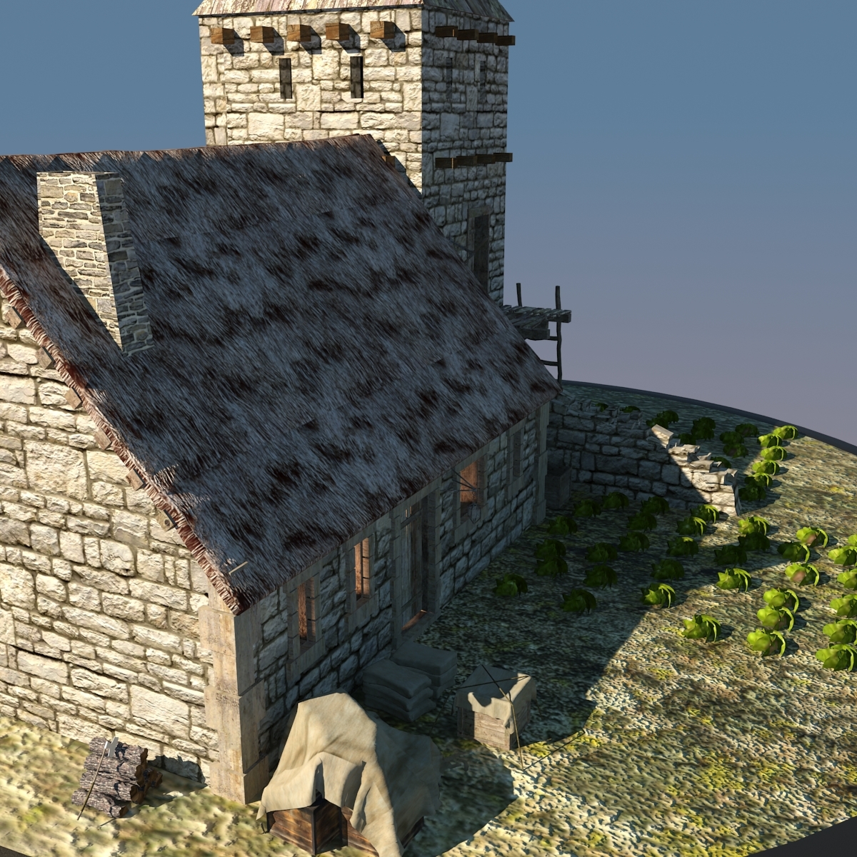 3d medieval house model
