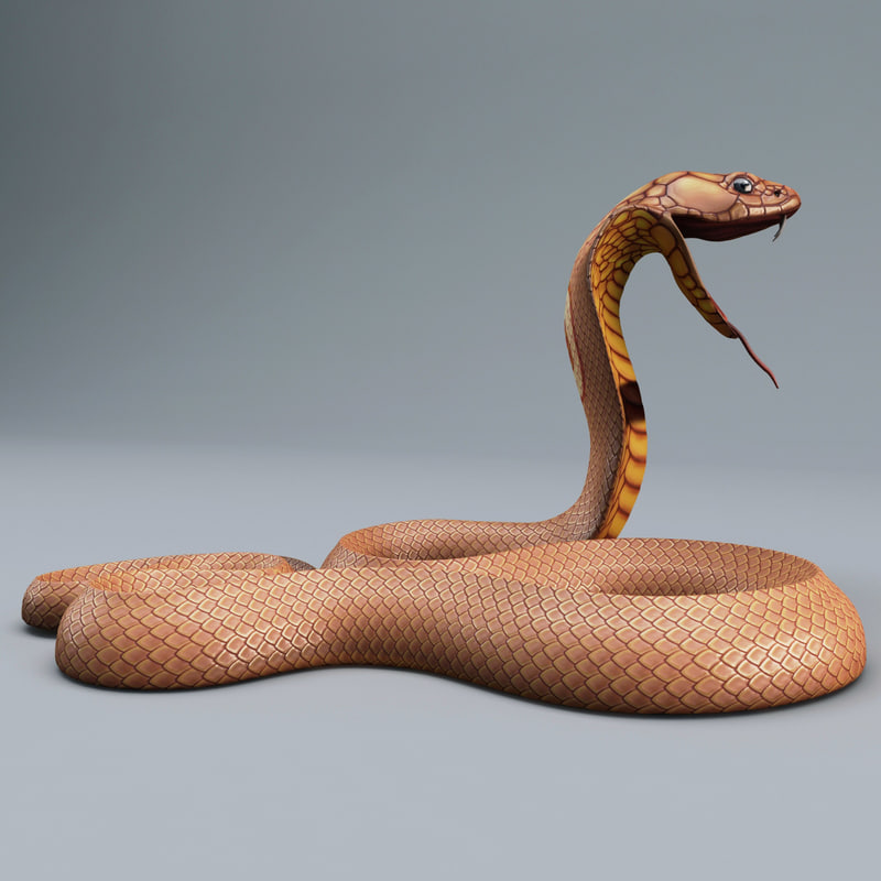 3d model snake cobra pose 5