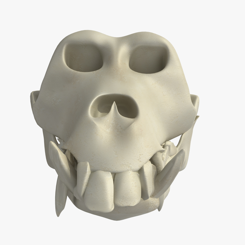 skeleton monkey 3d max