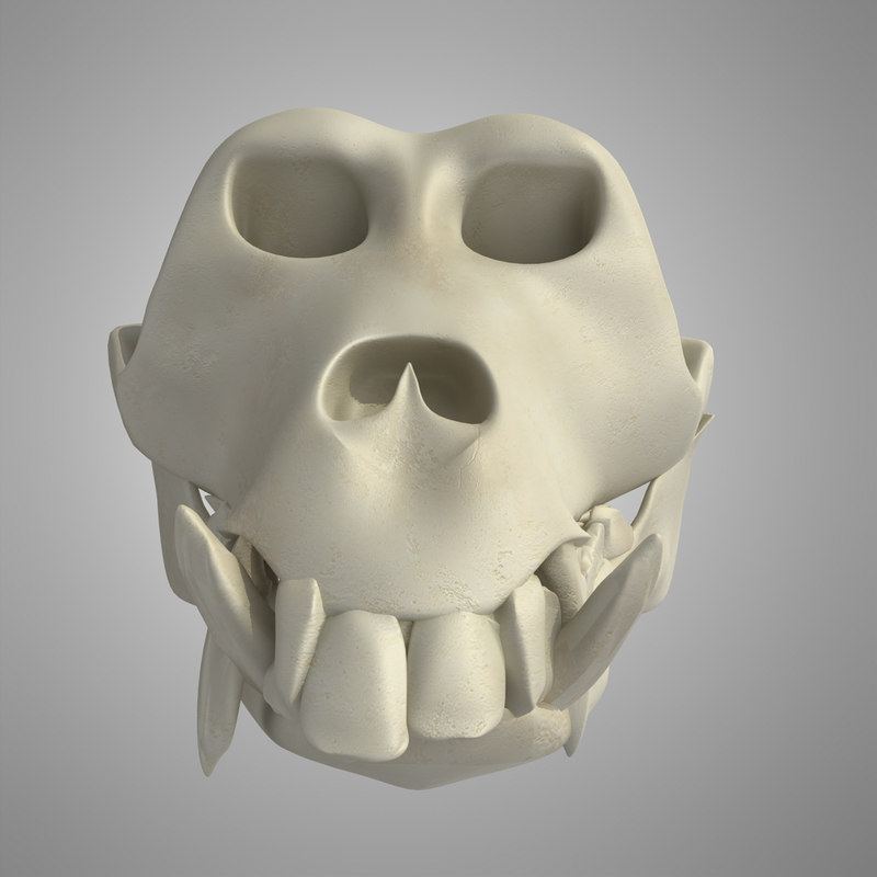 skeleton monkey 3d max