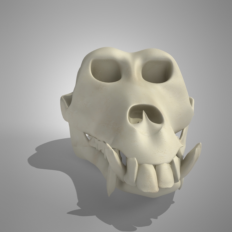 skeleton monkey 3d max