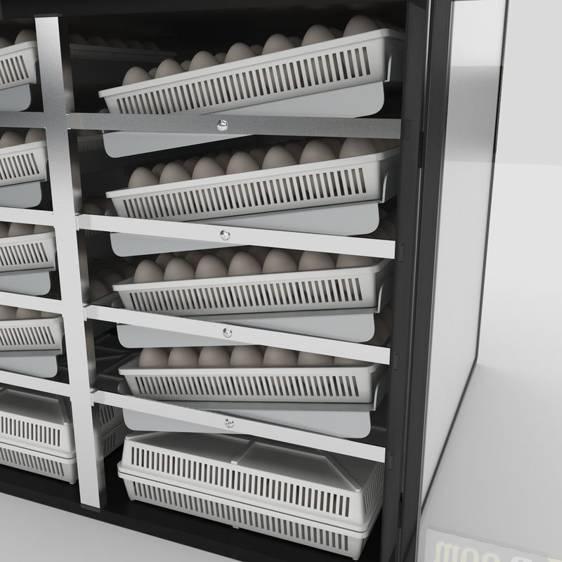 3d model egg incubator