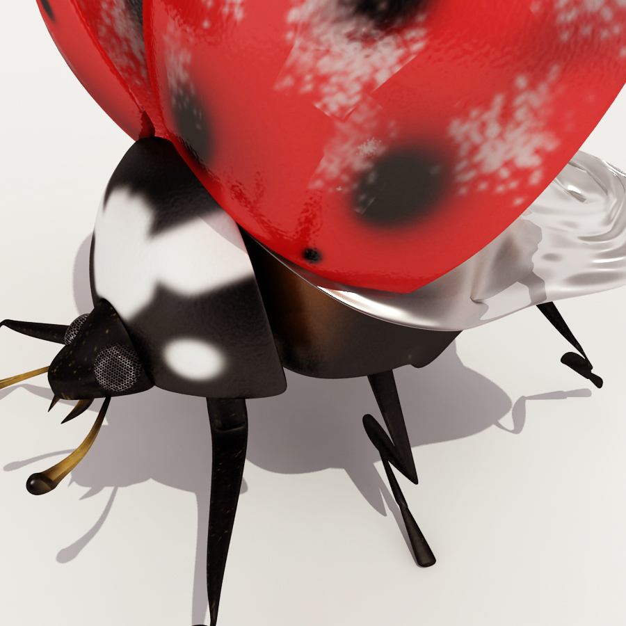 3ds ladybug modelled