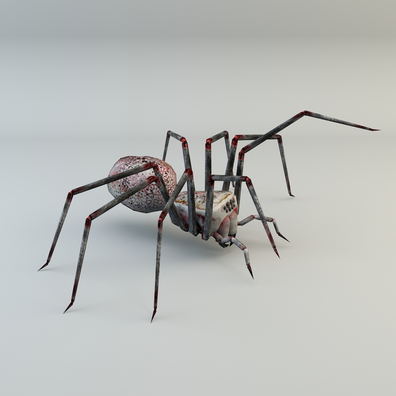 free spider 3d model