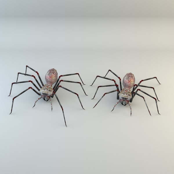 free spider 3d model