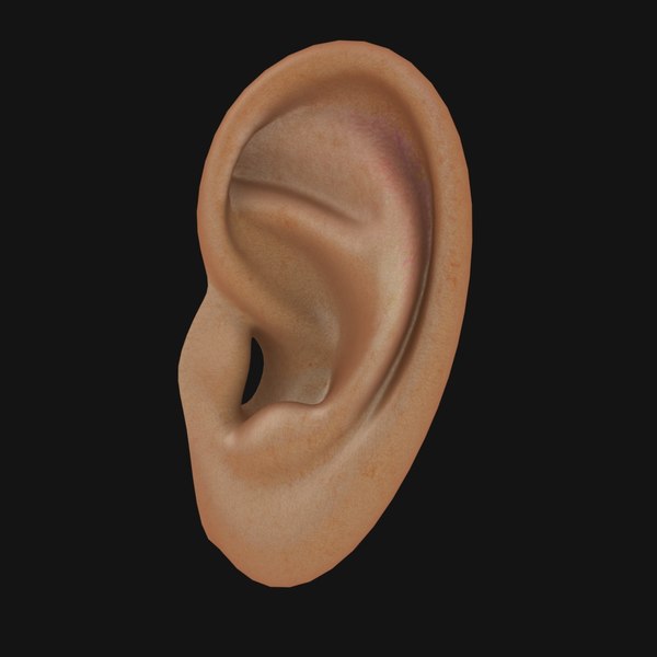 max realistic human ear