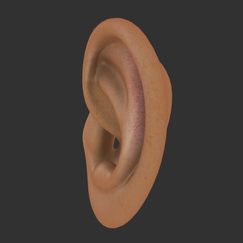 max realistic human ear
