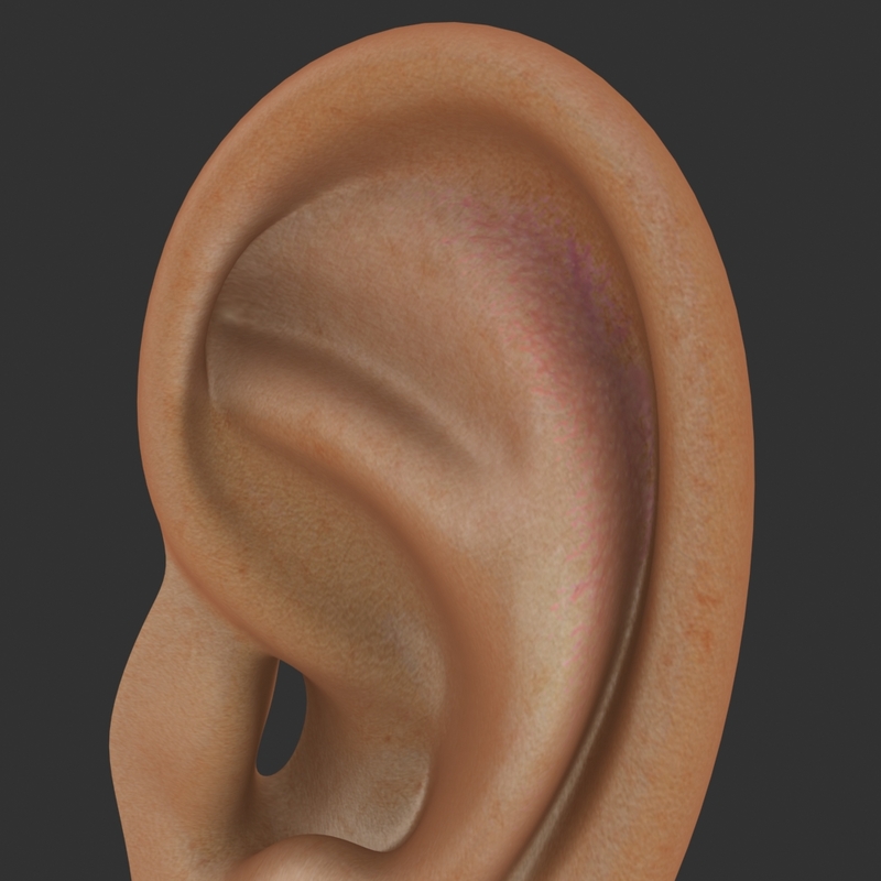 max realistic human ear