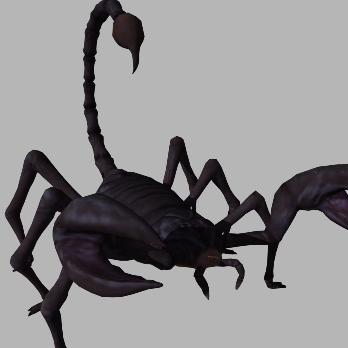 3d ma black scorpion animations