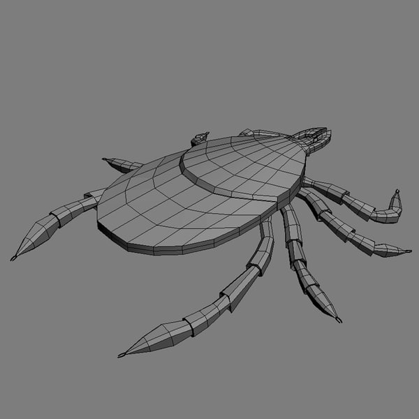 3d model tick